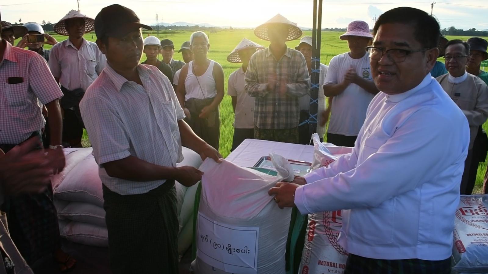 ကချင်ပြည်နယ်ဝန်ကြီးချုပ် ဦးခက်ထိန်နန် စီဟဲကျေးရွာ၊ စီဟဲမိုးစပါး စိုက်က